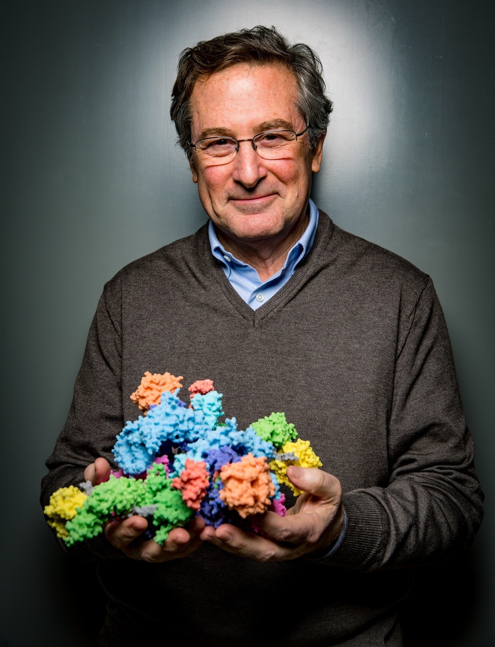Michael N. Hall - MENTOR - Metabolic control of cell growth by mTOR in ...